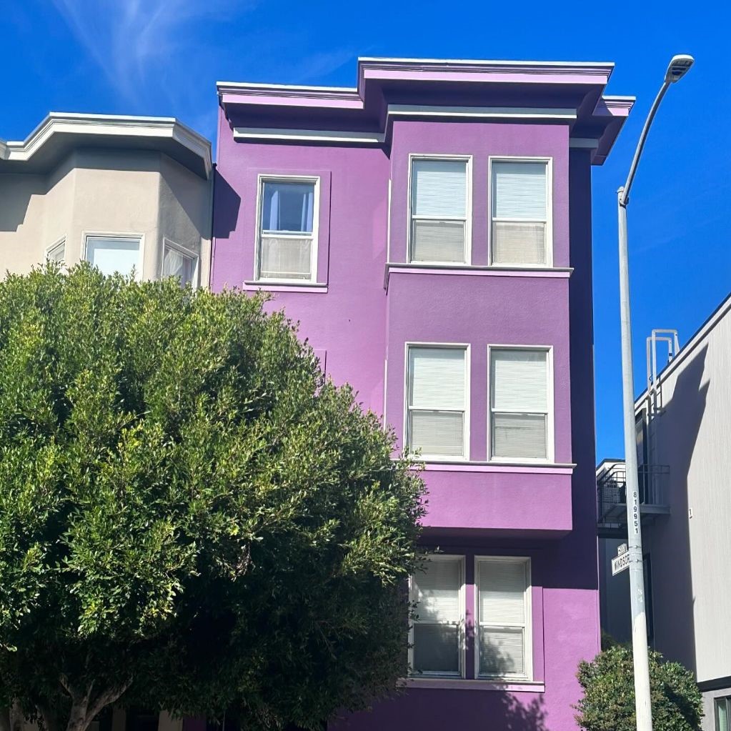 دانلود آهنگ اینجا جنگل بخور تا خورده نشی | با بهترین کیفیت mp3